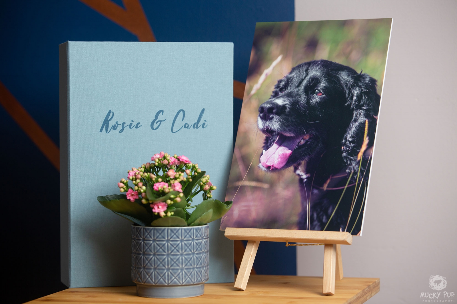 Location Portfolio - Mucky Pup Photography | Swansea & South Wales Pet ...